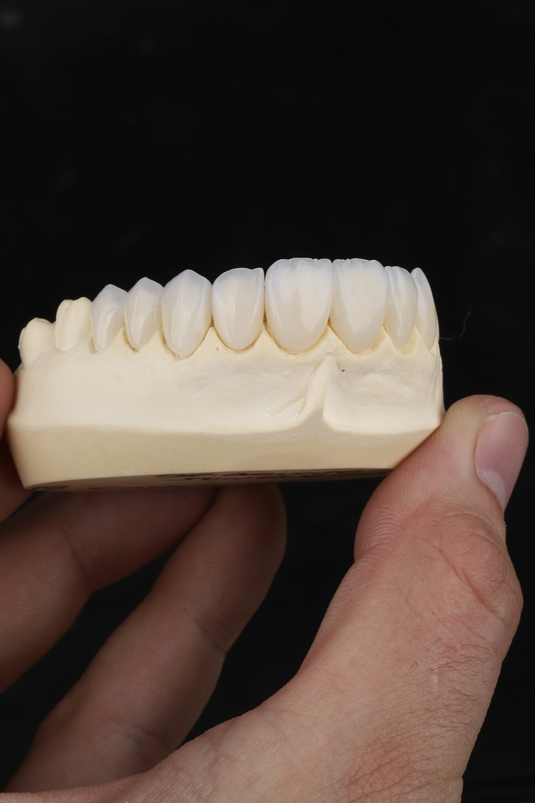 Perception Lab Studio Dental